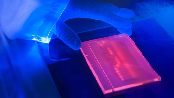 Gel documentation (gel doc) - fluorescence, chemiluminescence ... Gel documentation (gel doc) - fluorescence, chemiluminescence ...